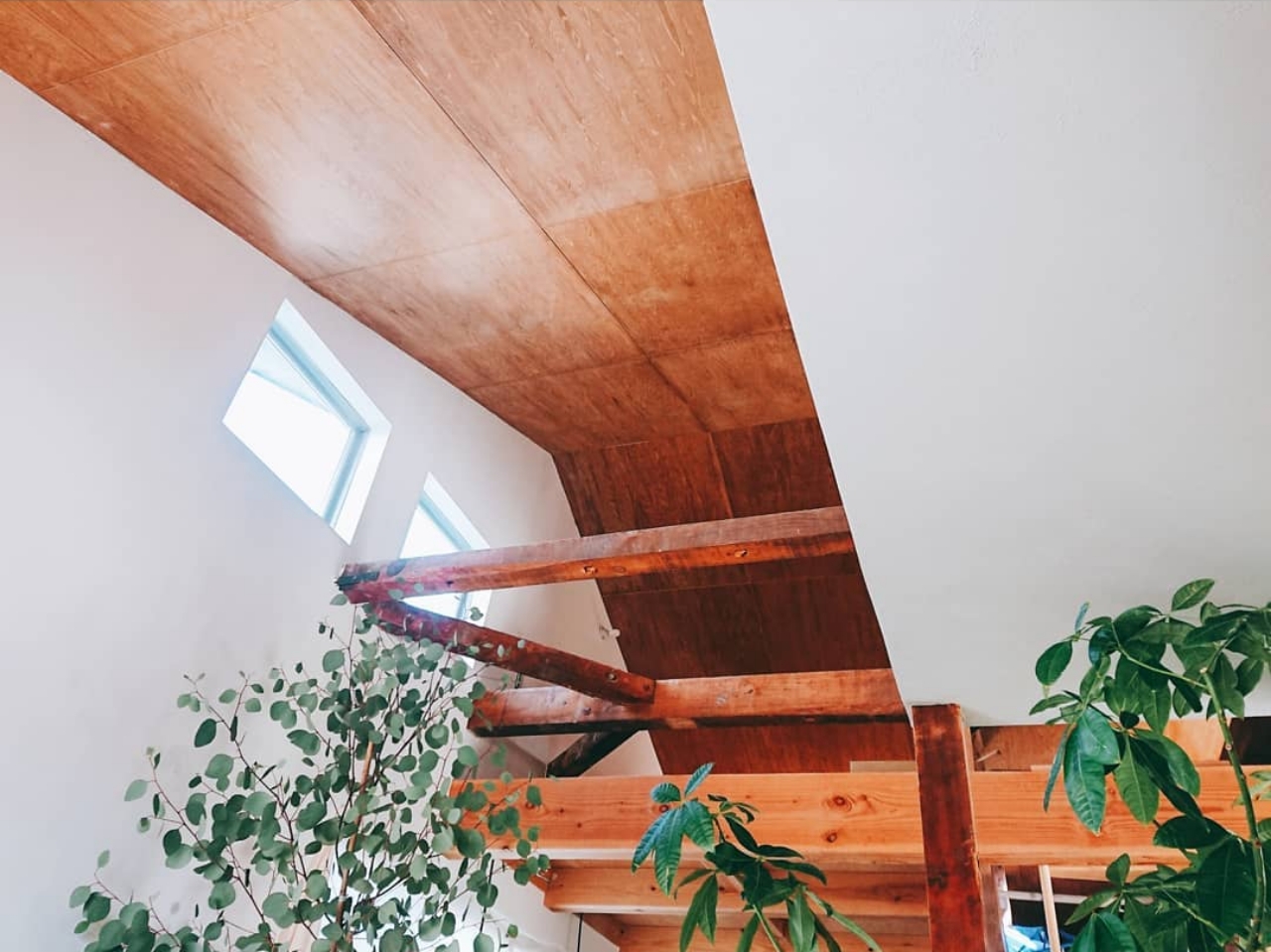 5-fevecasa(フェブカーサ)